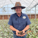 'Roots' by President & Co-Founder of The Magnolia Company