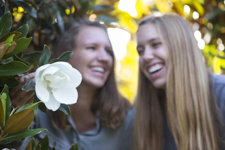 More than a Flower: The Magnificent Meaning Behind Magnolia Trees