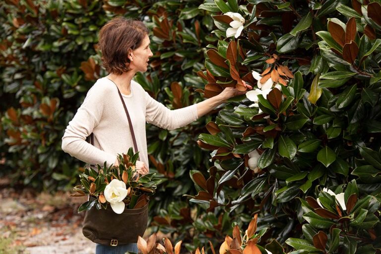 6 Stunning Summer DIYs with Magnolia Blooms: Trendy to Tasty!