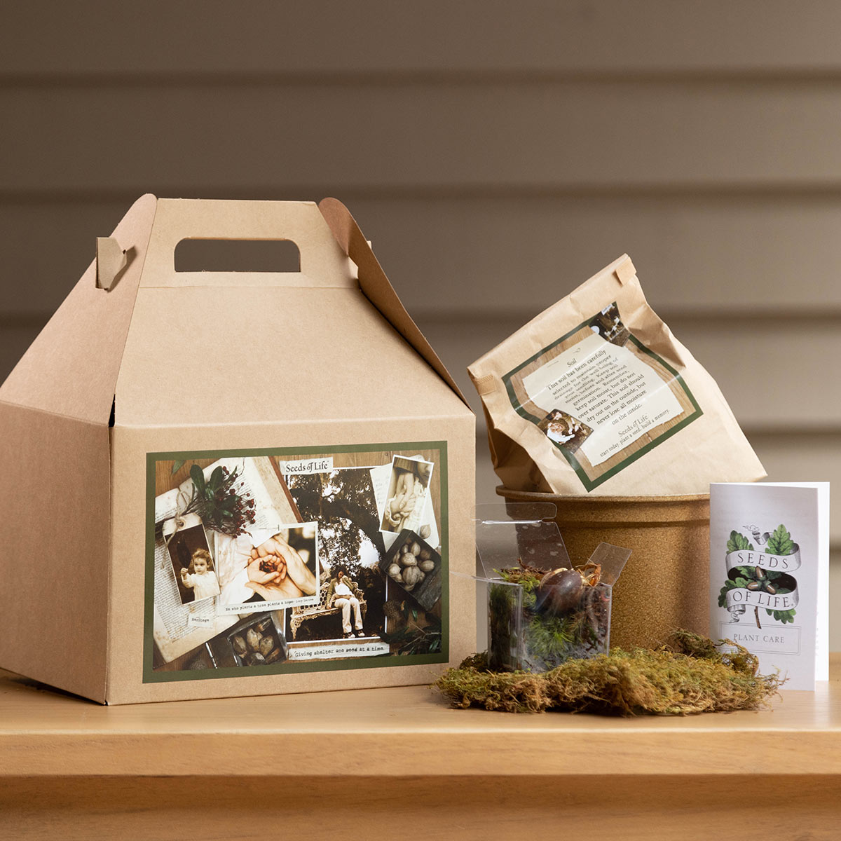 The Magnolia Company: Growing Tree Kit