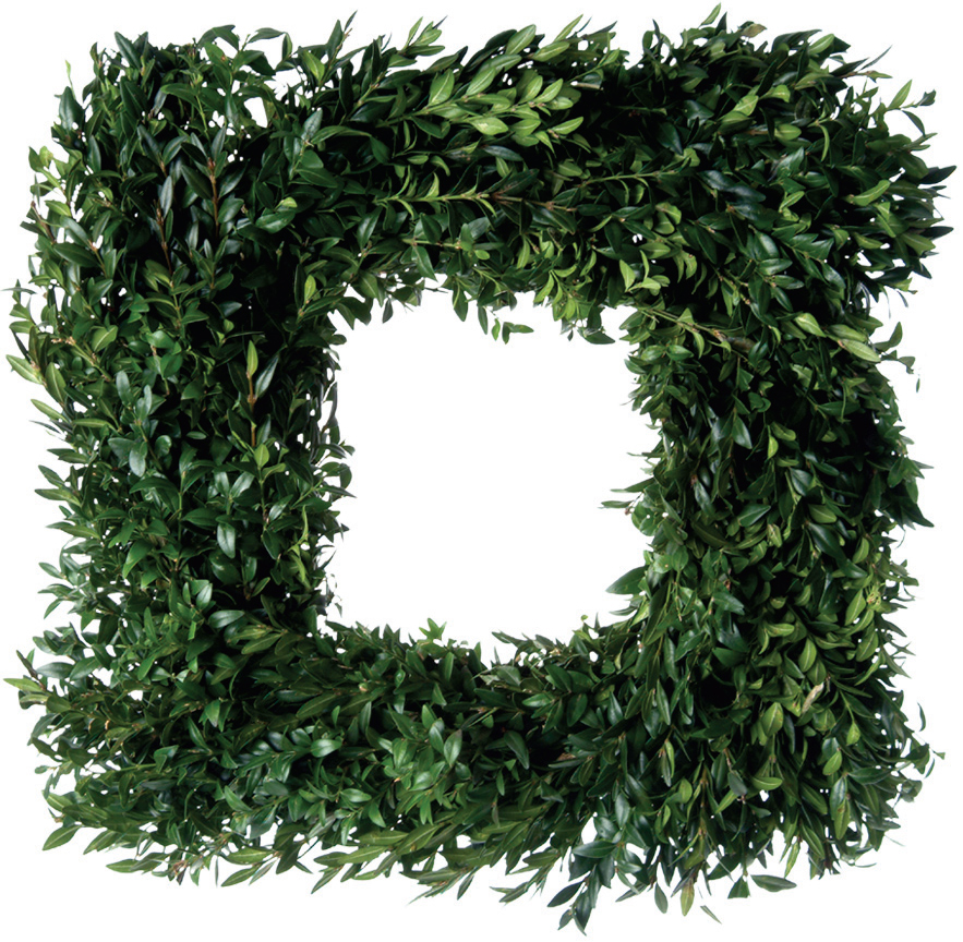Wreaths & Door Hangers 18 Square Boxwood Wreath Home Décor etna.com.pe