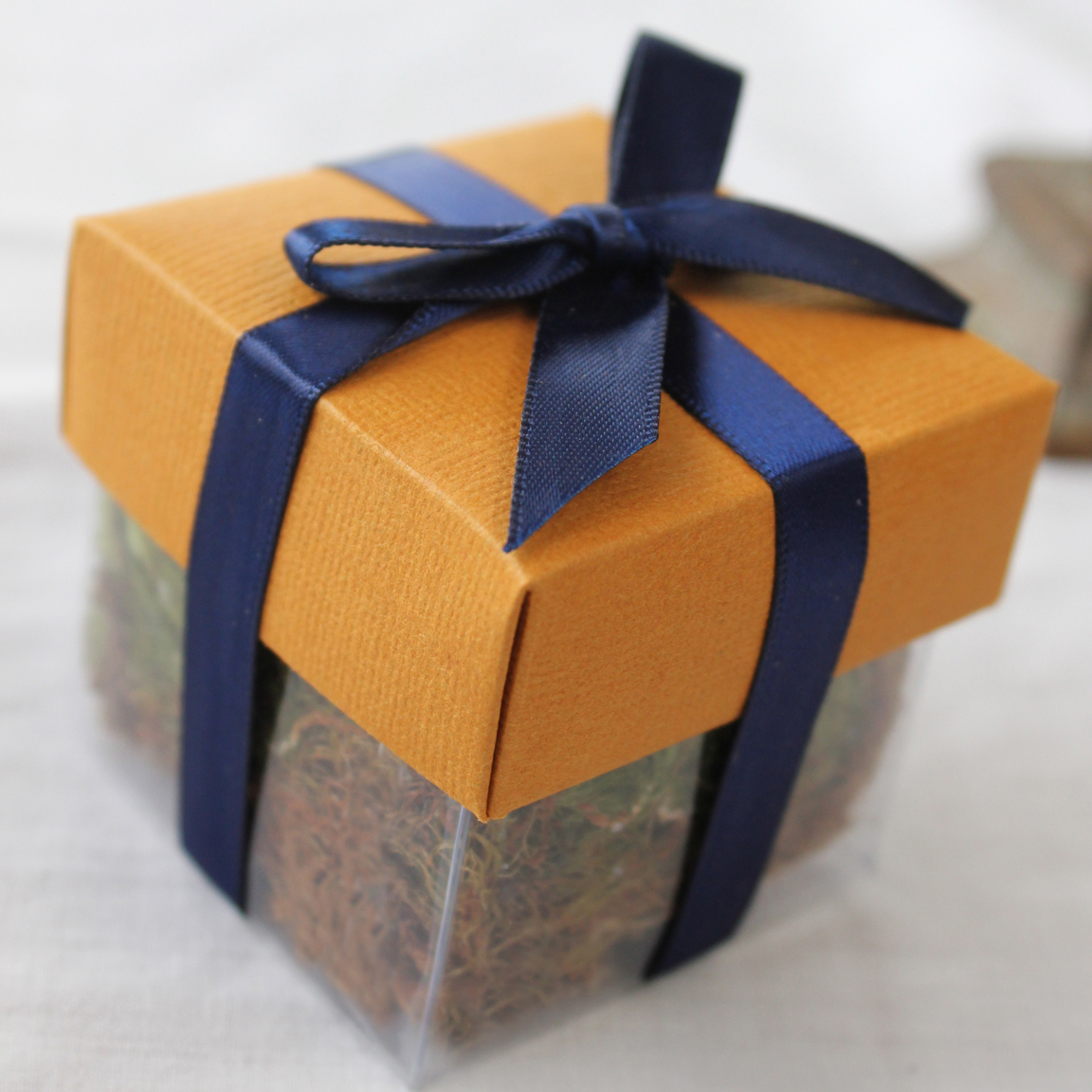 The Magnolia Company: Buttercup Orange Lid / Navy Top Double Bow