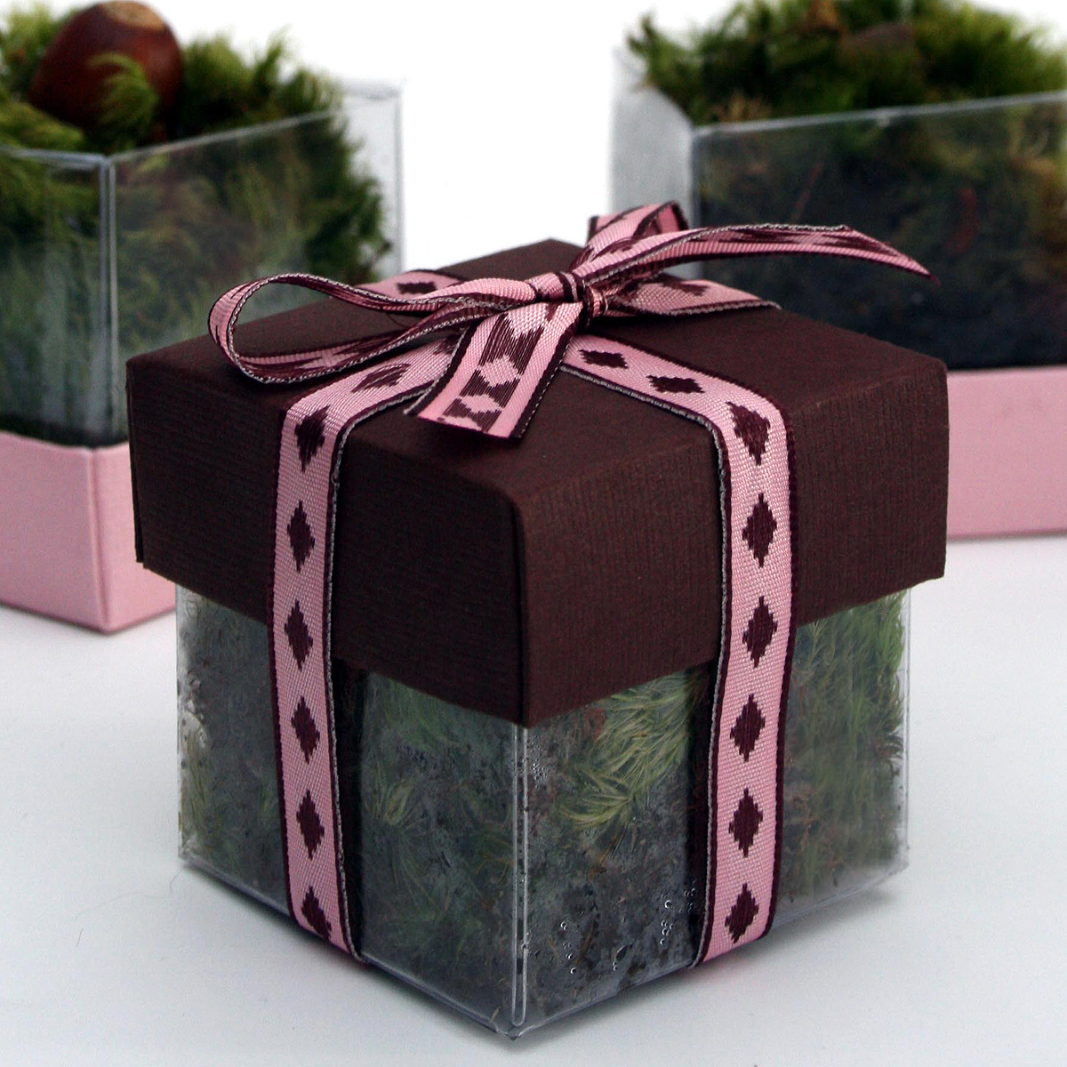 The Magnolia Company: Brown Lid / Pink Diamond Top Double Bow