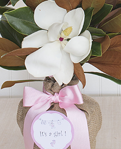 Gift Trees: The Magnolia Company