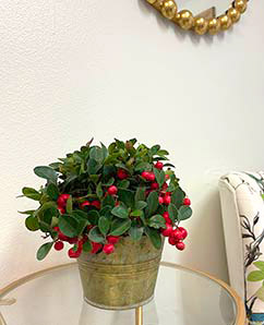 Centerpieces: The Magnolia Company