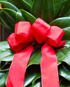 Swags: The Magnolia Company