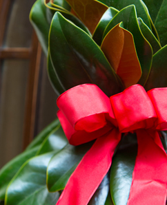 Swags: The Magnolia Company