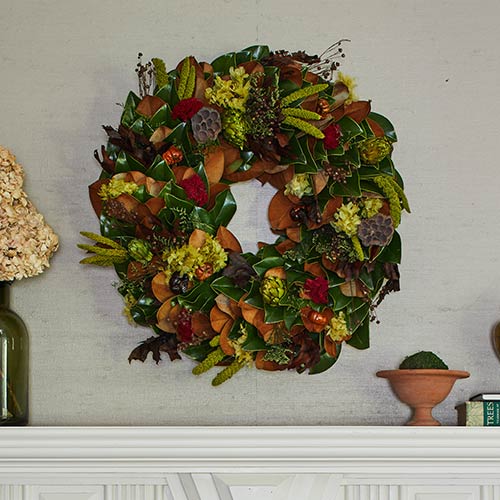 8 Different Types of Magnolia Trees: The Magnolia Company